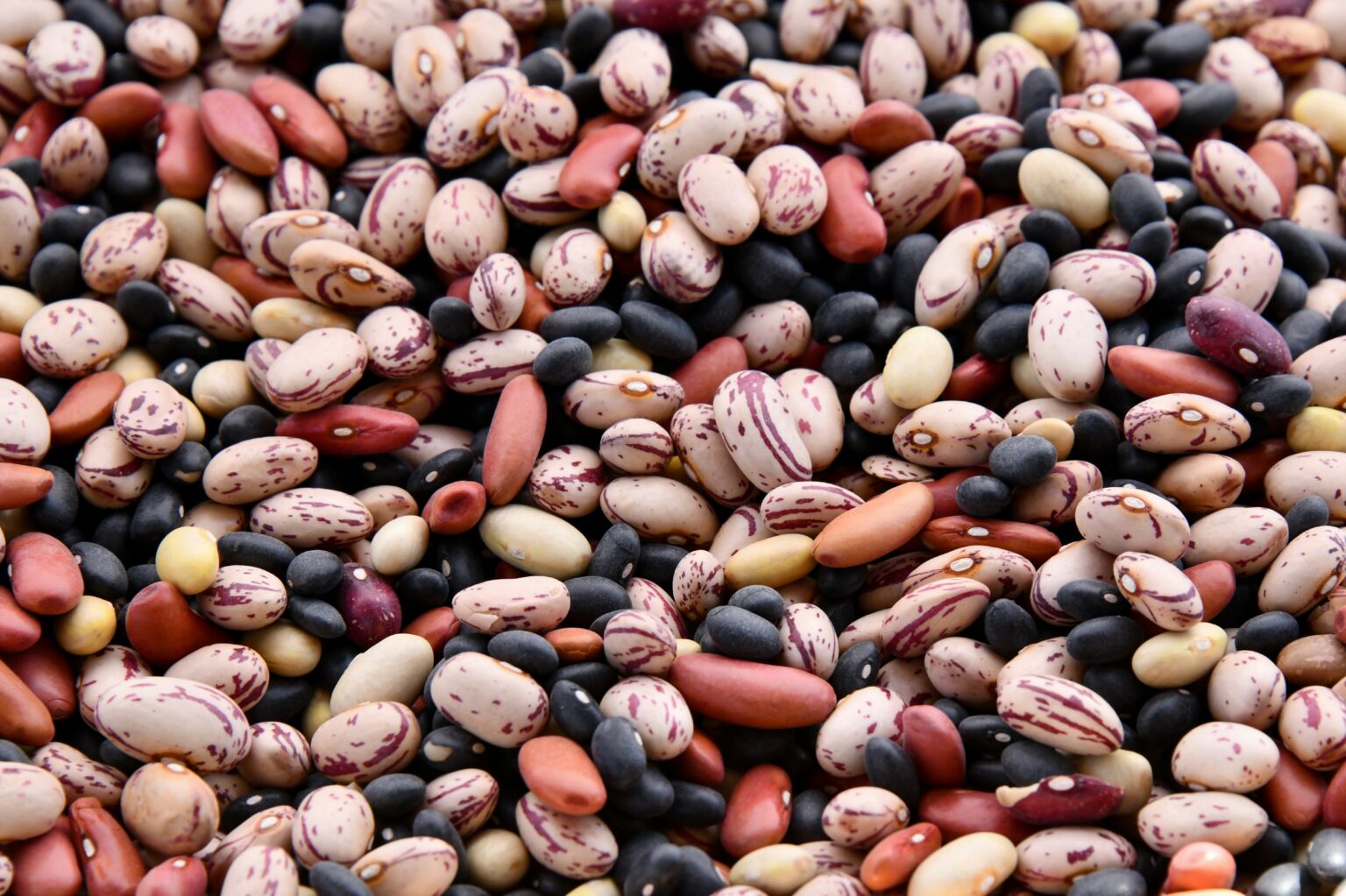 What’s the Origin of “Spill the Beans”? A Phrase Rooted in Ancient Voting